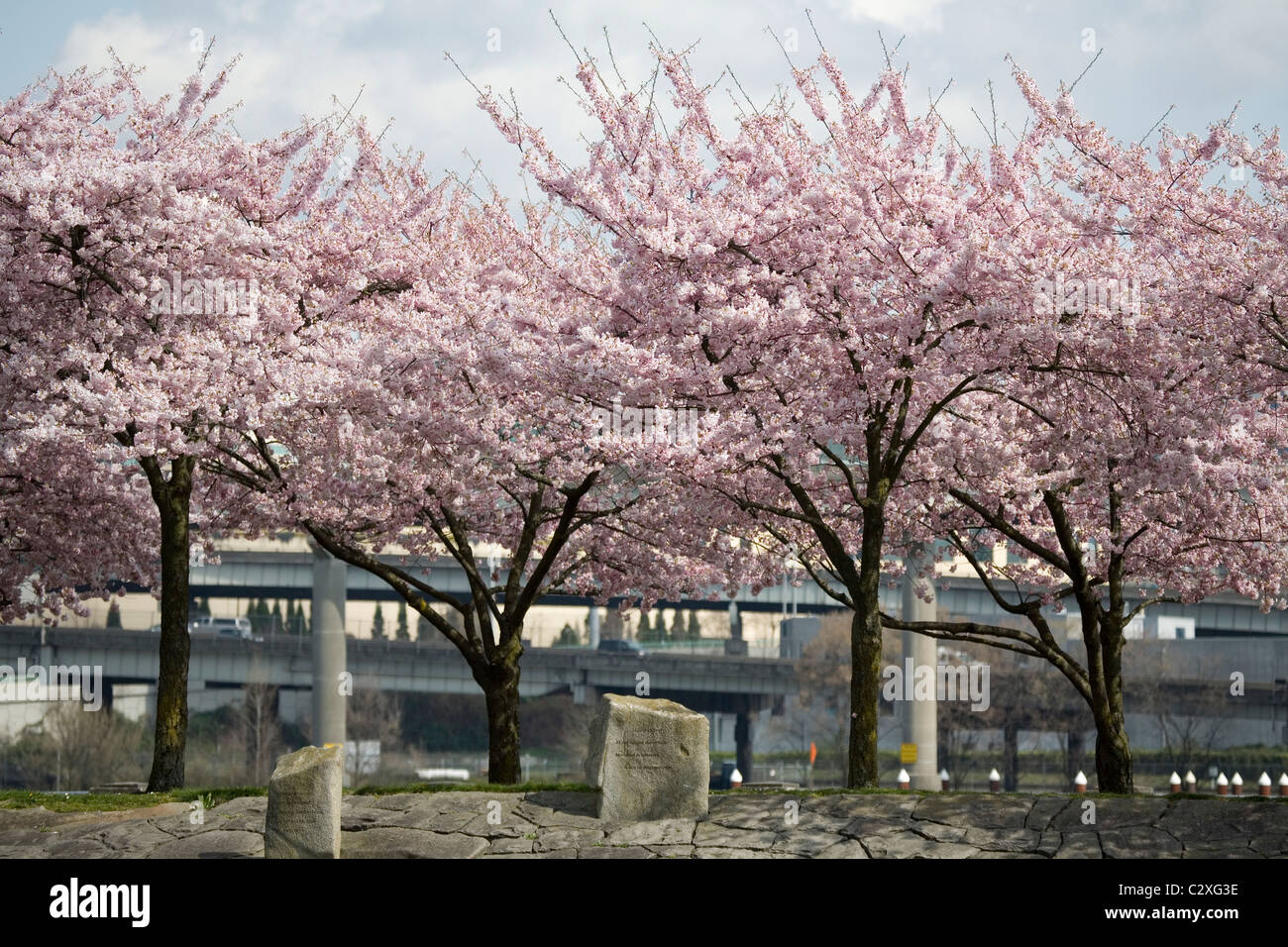 Portland oregon attractions hi-res stock photography and images - Alamy