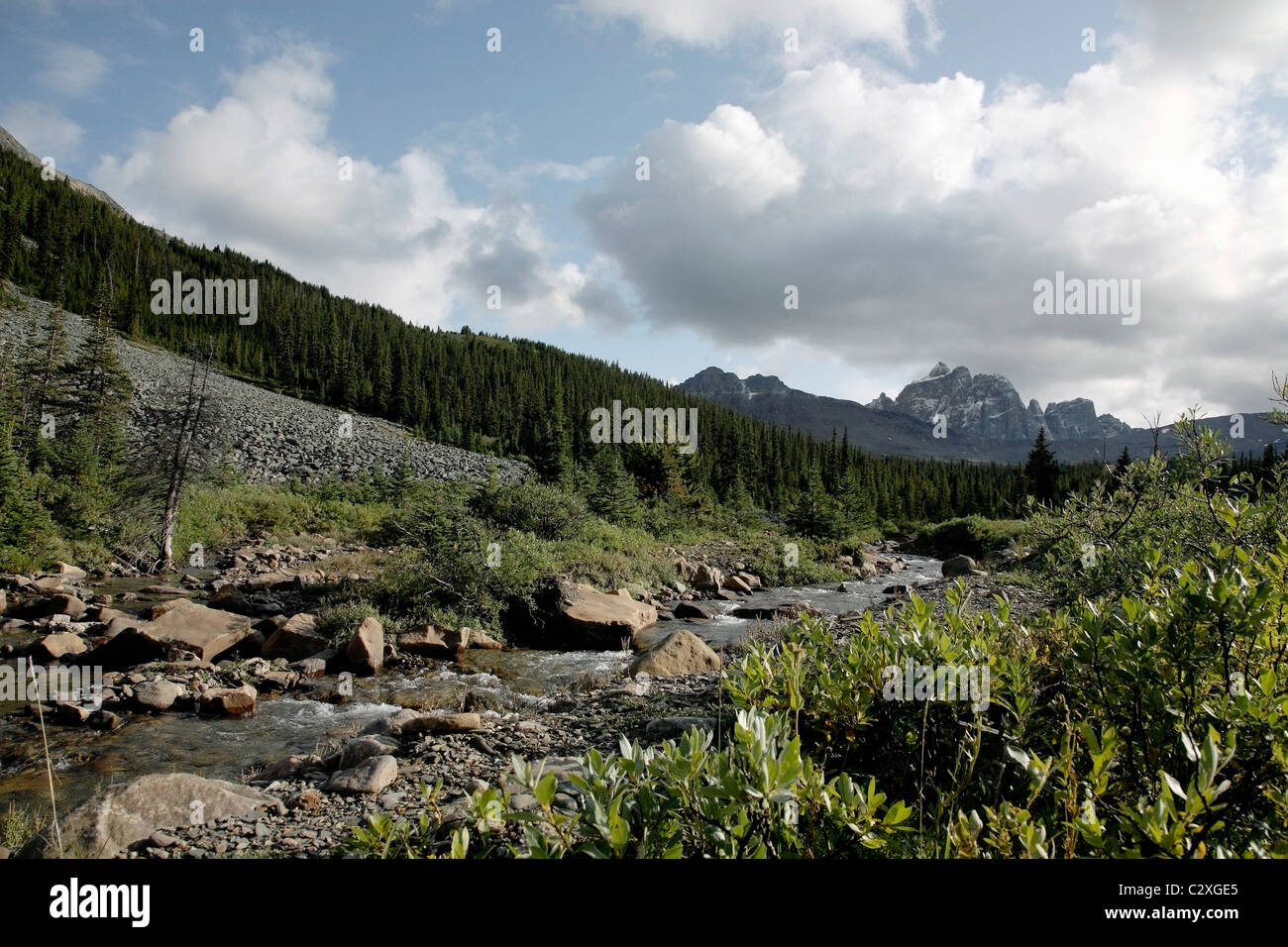 Back Country, Jasper National Park, Alberta, Canada Stock Photo - Alamy