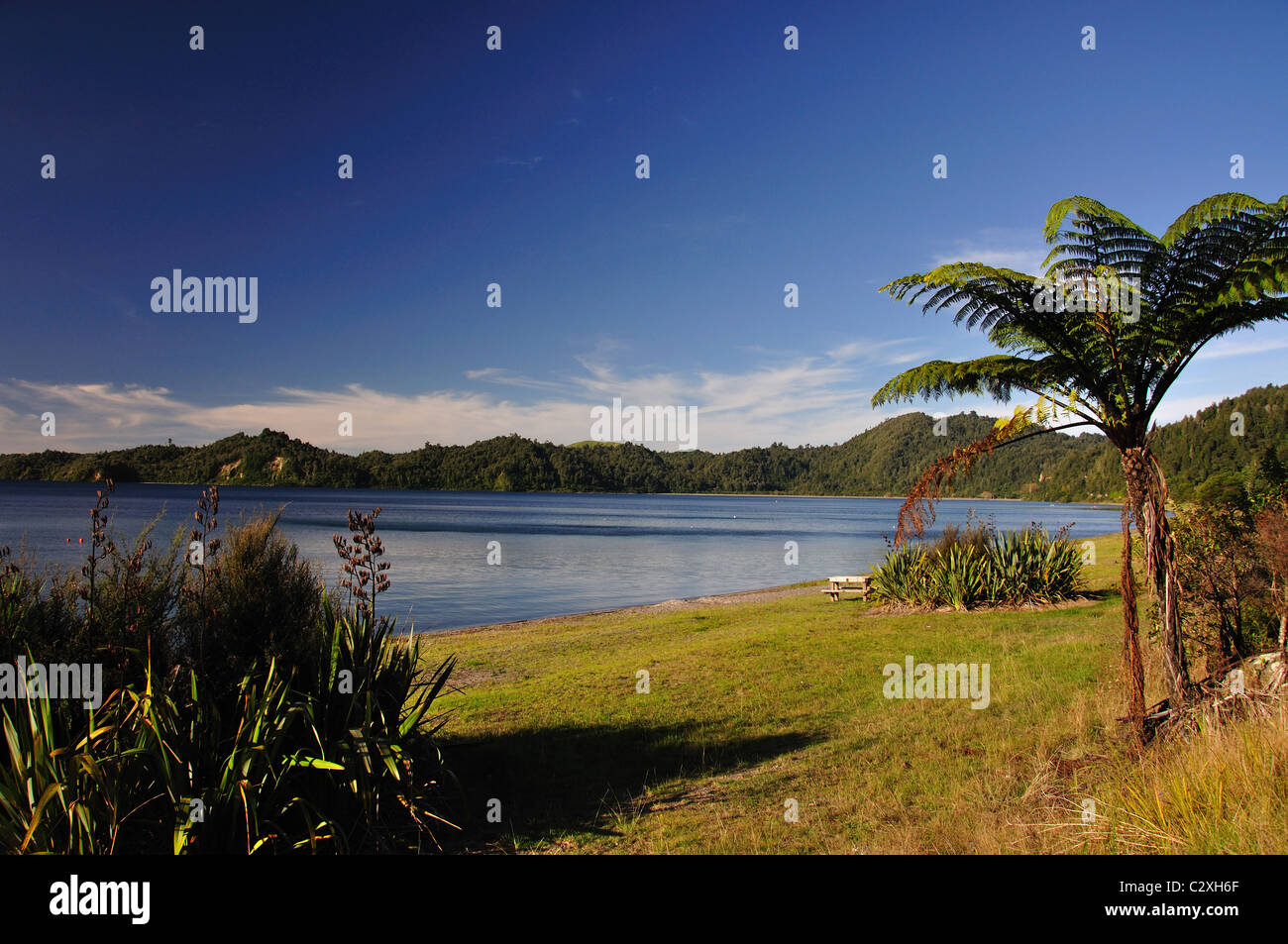 Lake Rotoma from State Highway 30, Rotorua District, Bay of Plenty ...