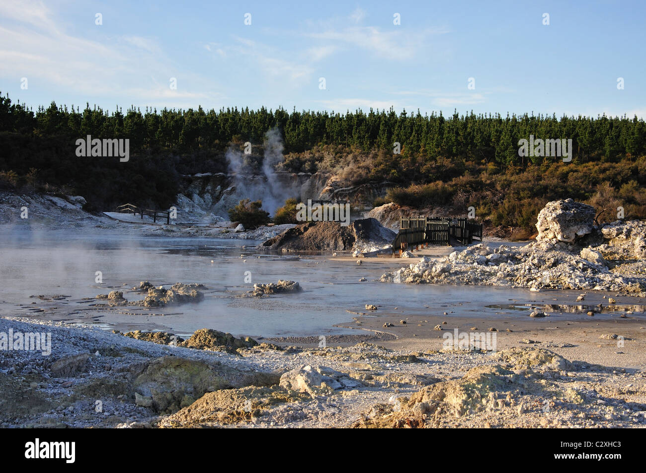 Steaming mud pools, Hell's Gate and WaiOra Spa, Rotorua, Bay of Plenty ...