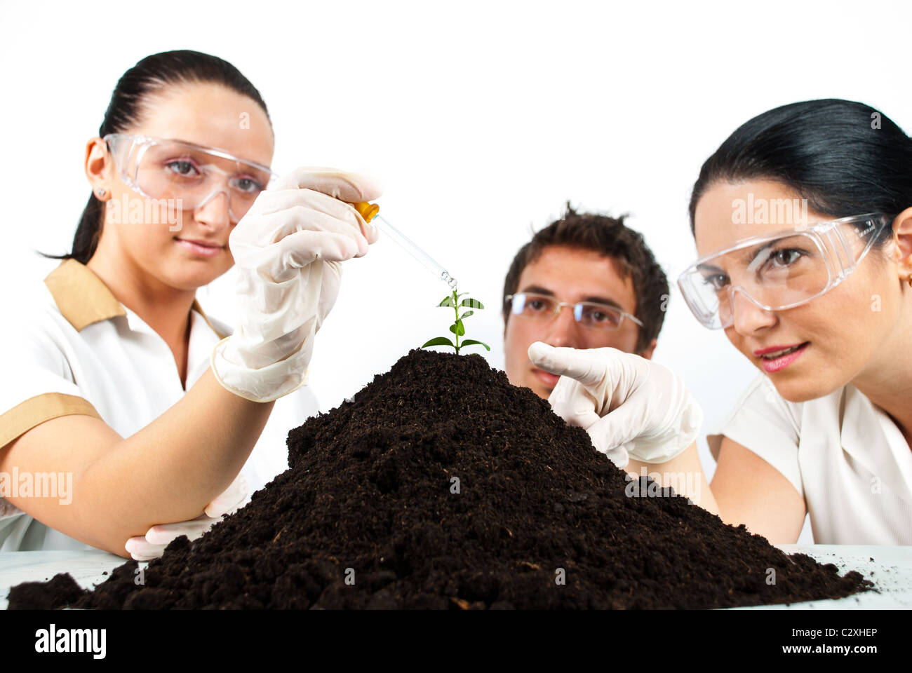 Botanical scientist team in laboratory making experiments on a plant in ...