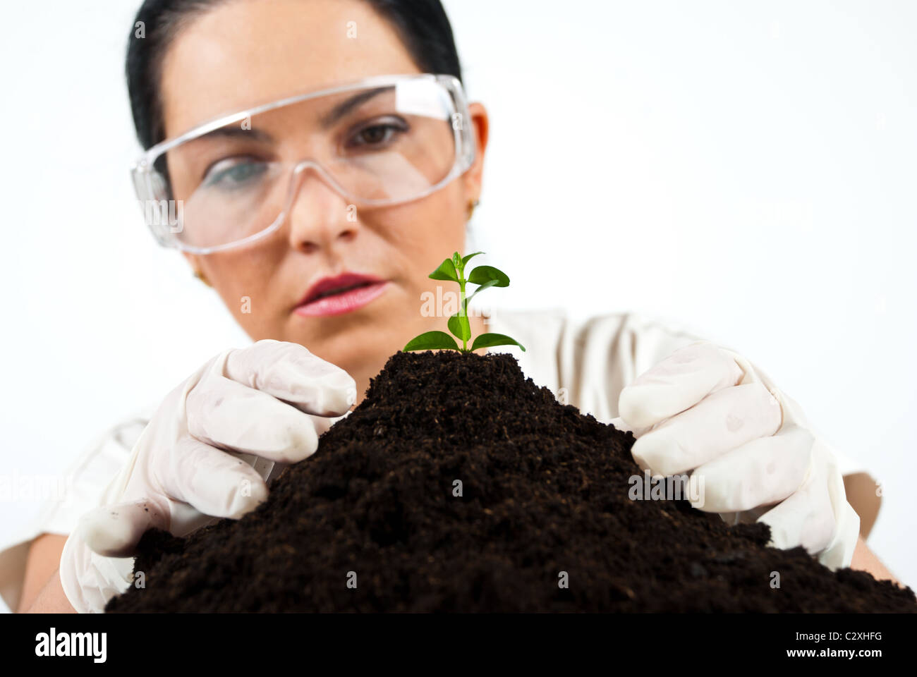 Botanical scientist checking ground in laboratory and looking to a ...
