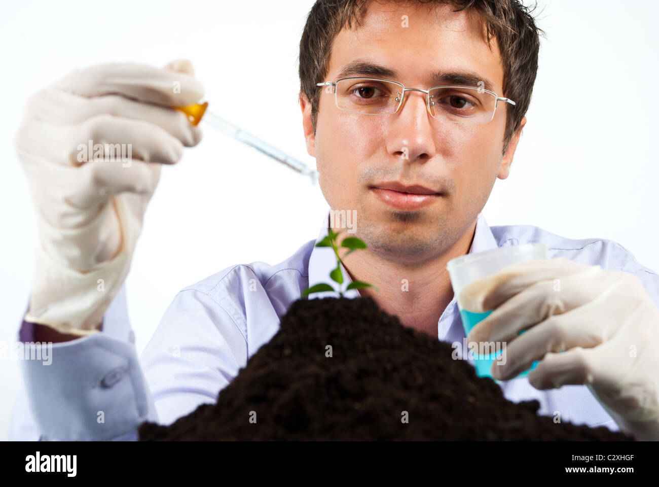 Scientist man working in laboratory ,selective focus on man Stock Photo ...