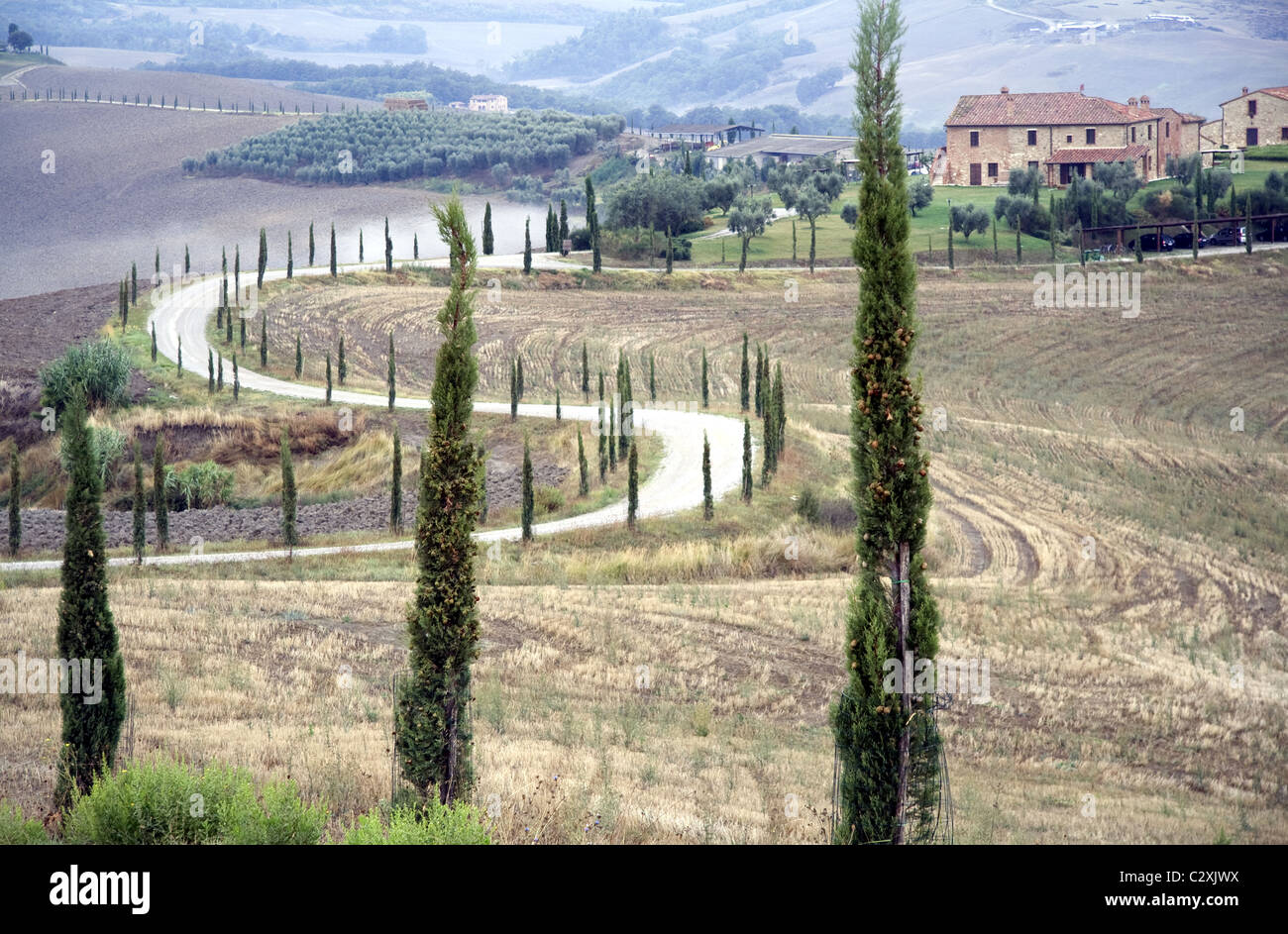 Italien schlange hi-res stock photography and images - Alamy
