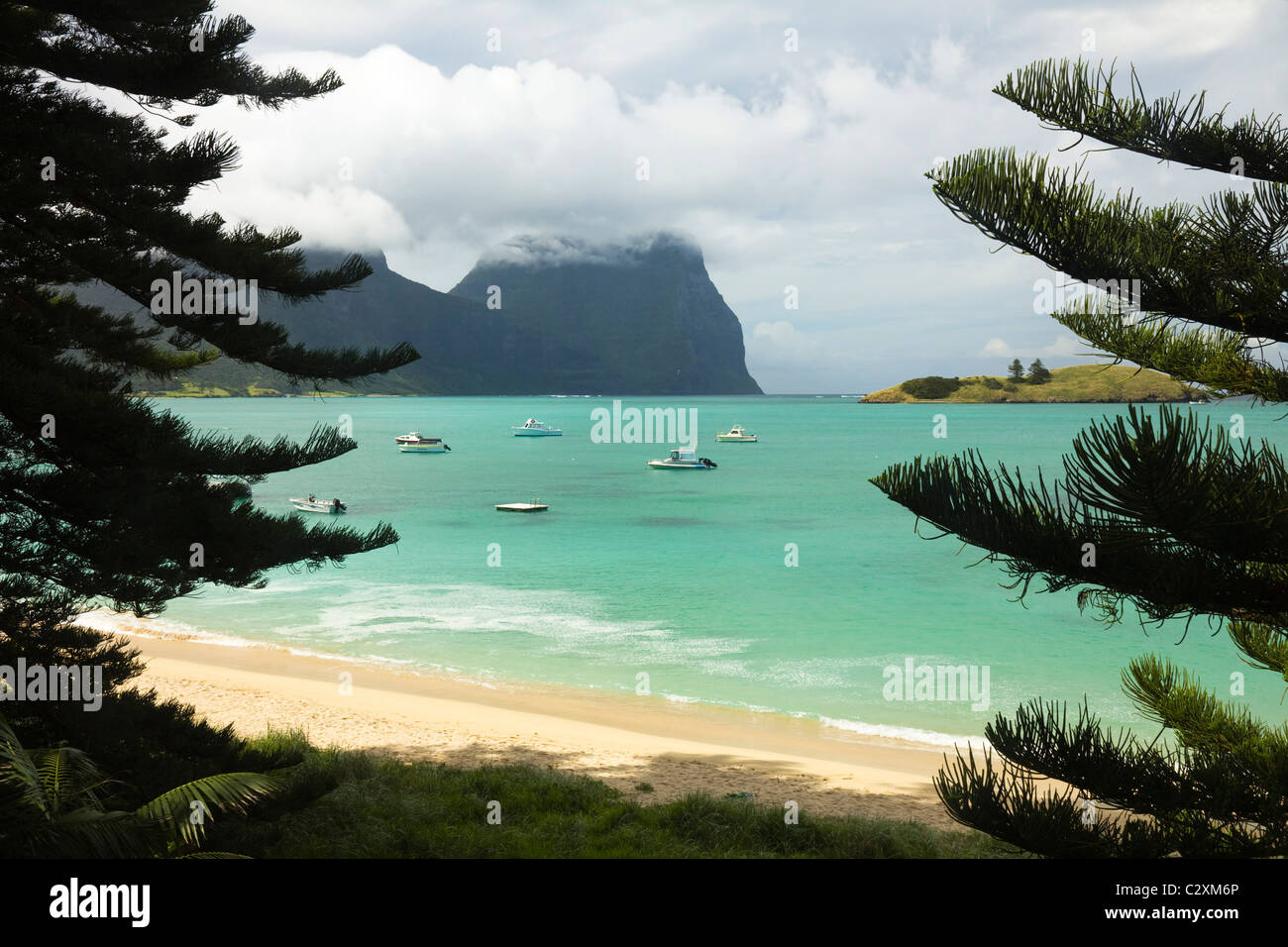 Mt Gower & Norfolk Island pines by the lagoon with world's southernmost ...