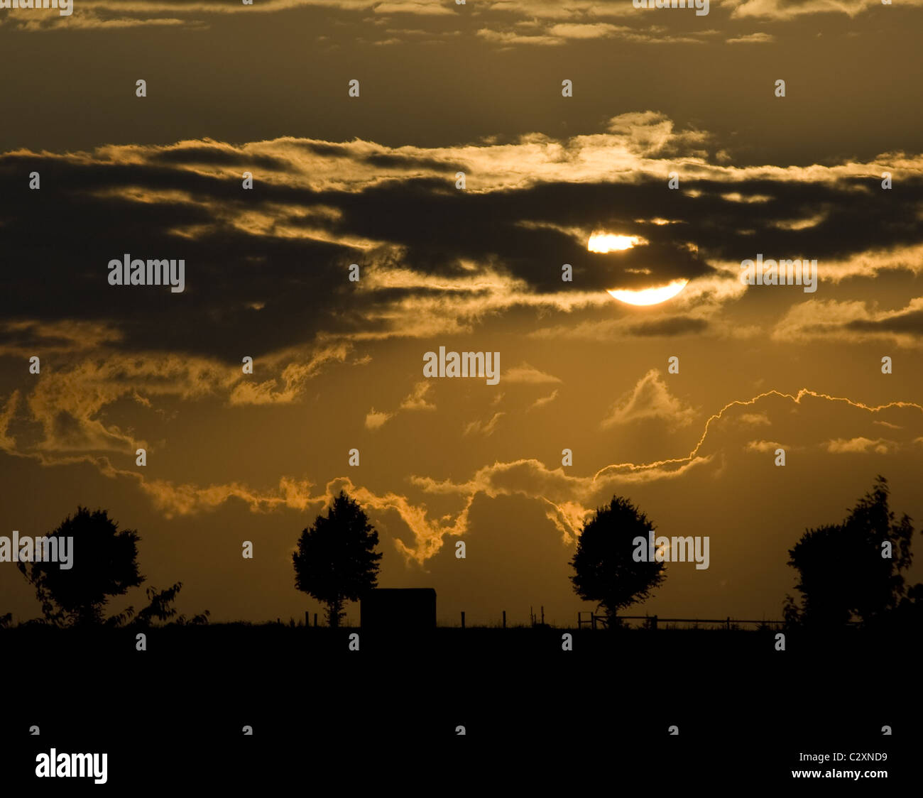 Merch hi-res stock photography and images - Alamy