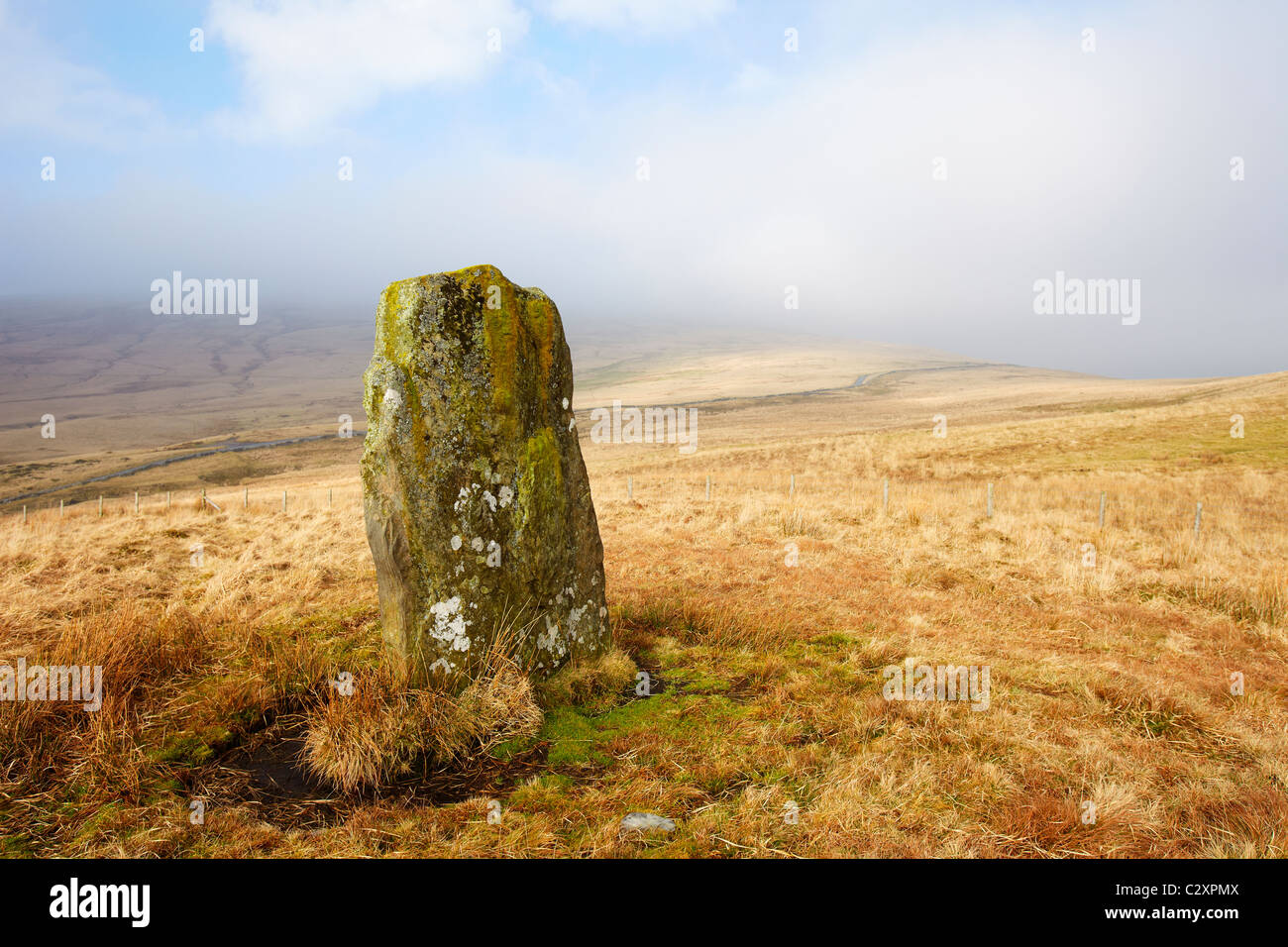 Wales standing stone hi-res stock photography and images - Alamy