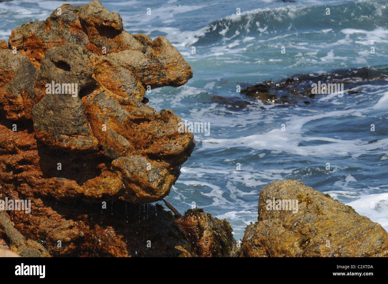 Natural monster hi-res stock photography and images - Alamy