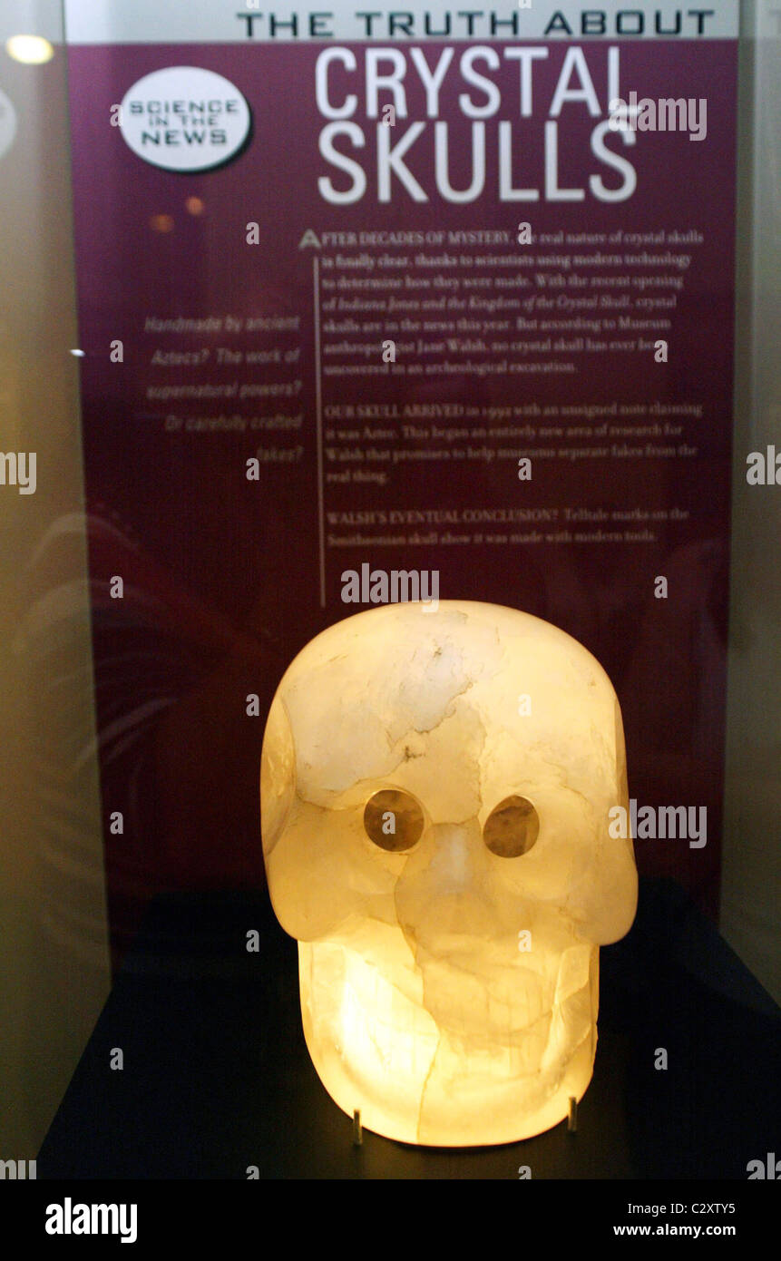 Crystal Skull given by an anonymous donor to Smithsonian's National ...