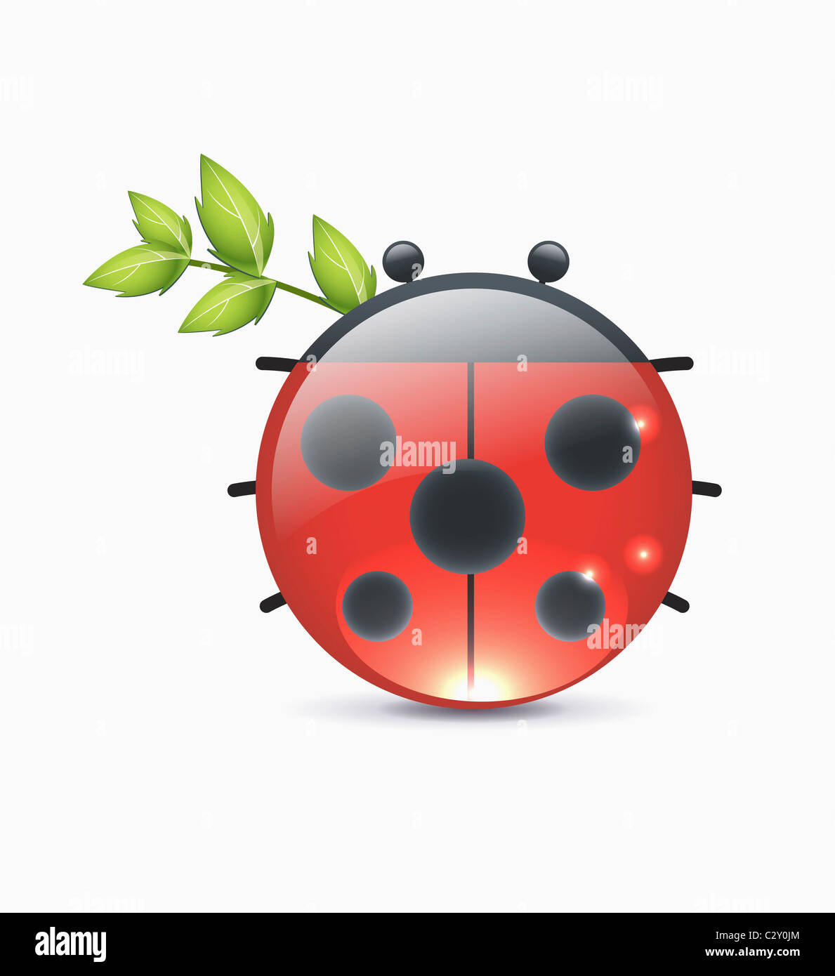 Various insect types hi-res stock photography and images - Alamy