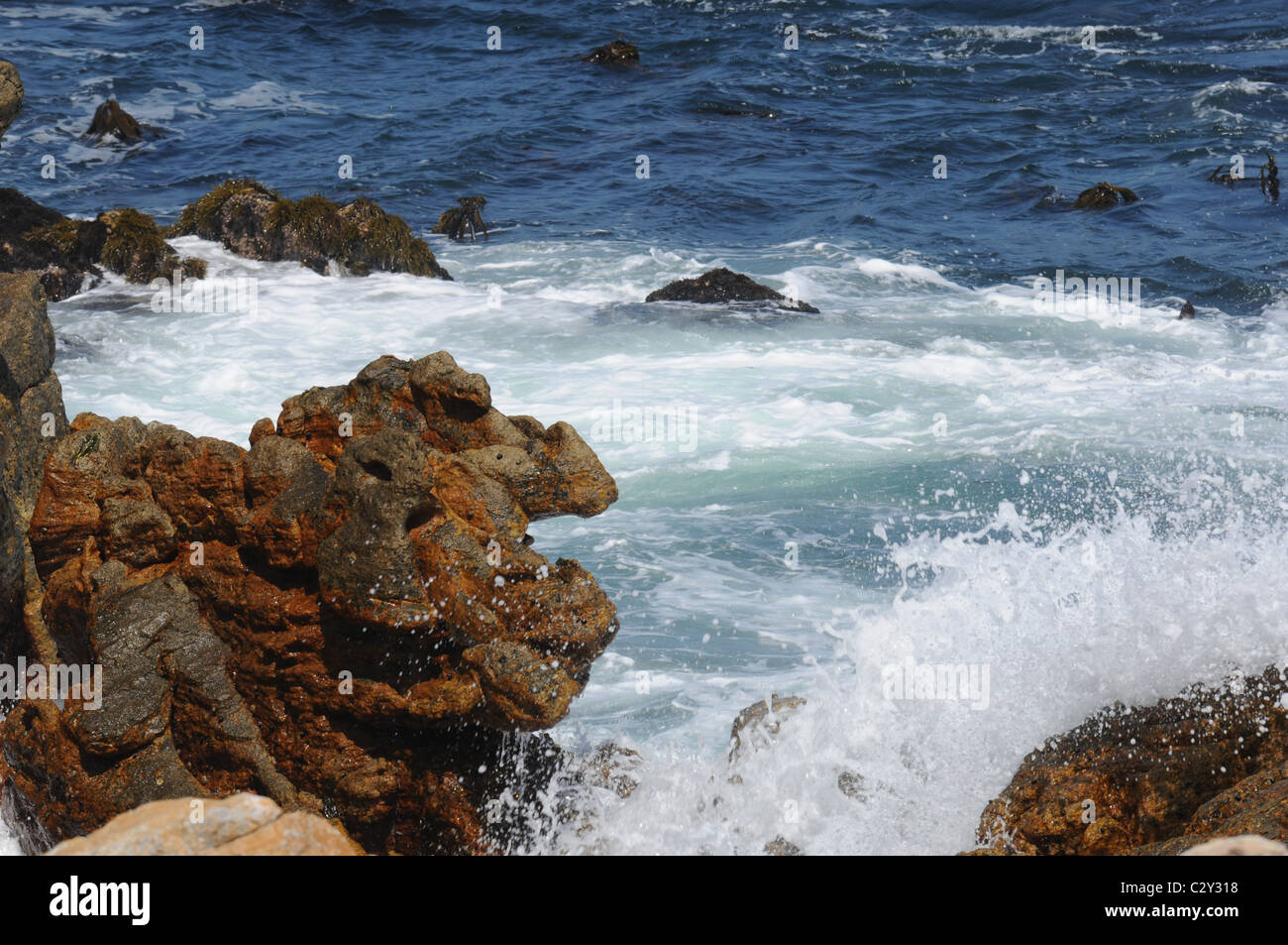 Natural monster hi-res stock photography and images - Alamy