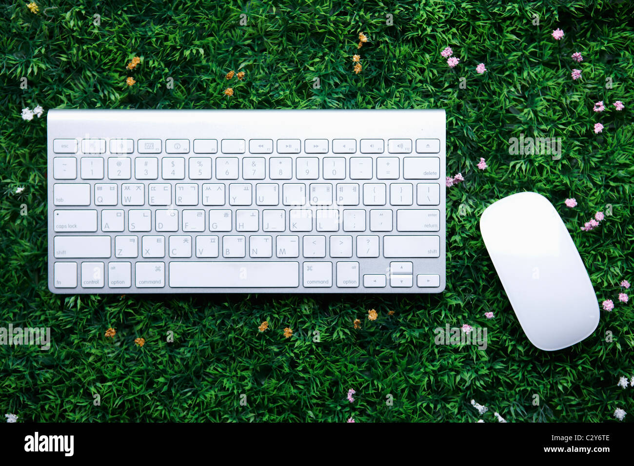 eco friendly green concepts Stock Photo - Alamy