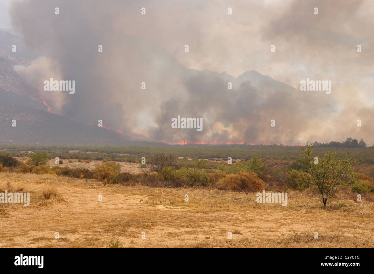 Bush fire that is out of control hi-res stock photography and images ...