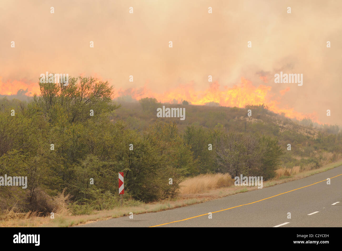 Bush fire, road, cars, smoke, flames, dark skies Stock Photo - Alamy