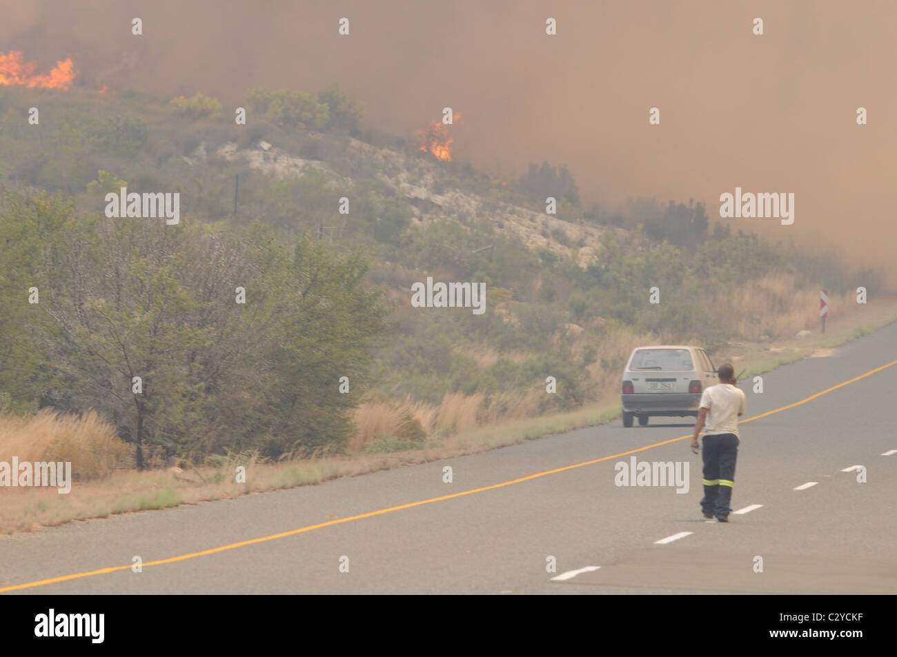 Heather and bush fire that crosses a road, flames, cars, people, smoke ...