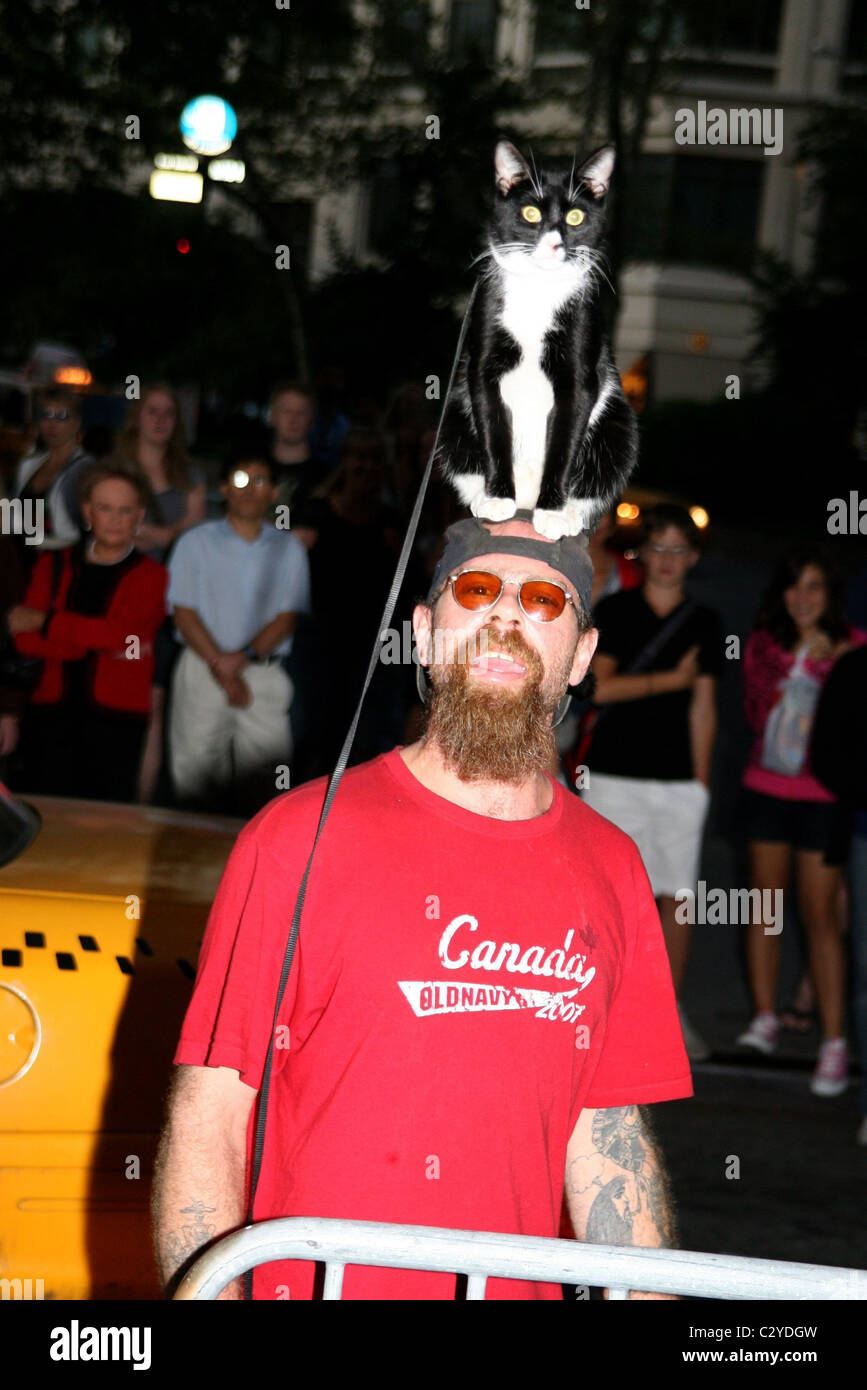 Charlie the cat hi-res stock photography and images - Alamy