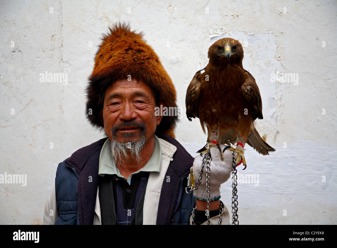 Old yunnan man falcon hi-res stock photography and images - Alamy