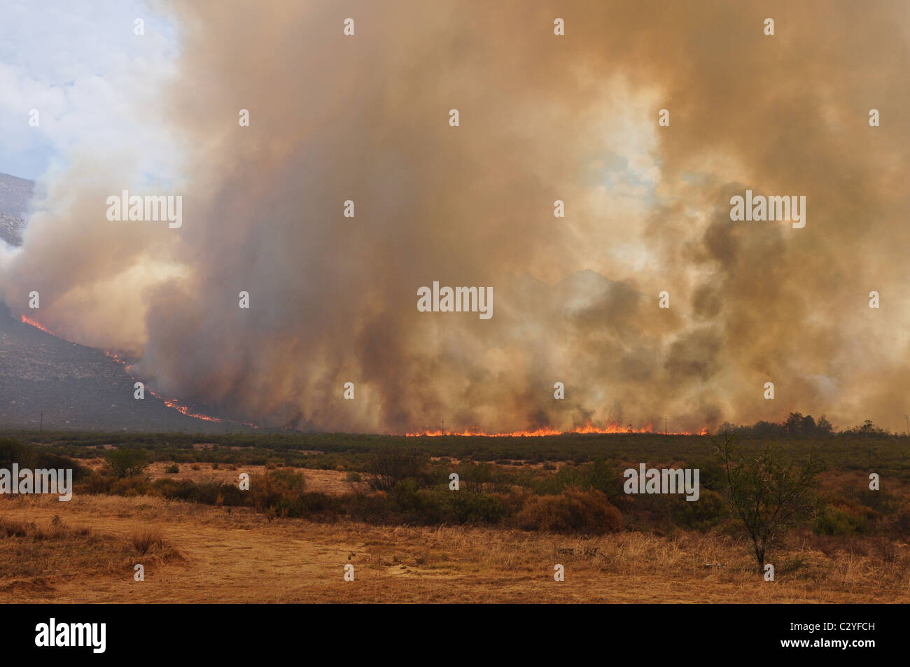 Bush Fire that is out of control, flames, smoke, landscape Stock Photo ...