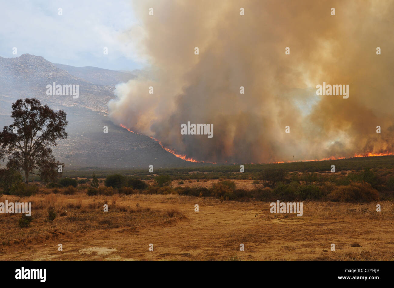 Bush Fire that is out of control, flames, smoke, landscape Stock Photo ...