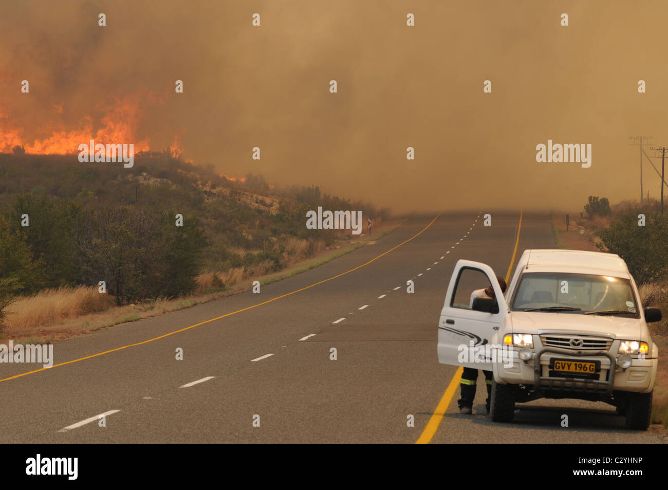 Heather and bush fire that crosses a road, flames, cars, people, smoke ...