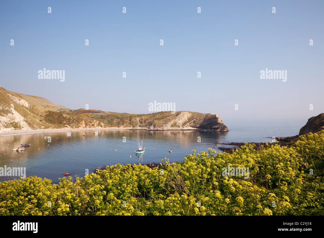 Lulworth cove fishing boat hi-res stock photography and images - Alamy