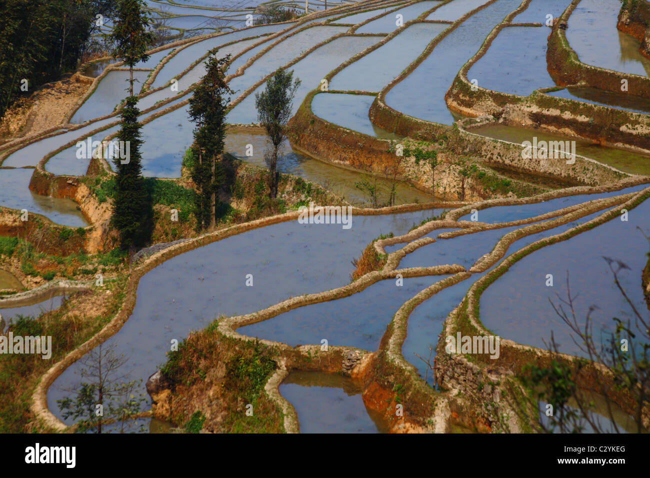 terrace rice fields in south Yunnan/ china Stock Photo - Alamy