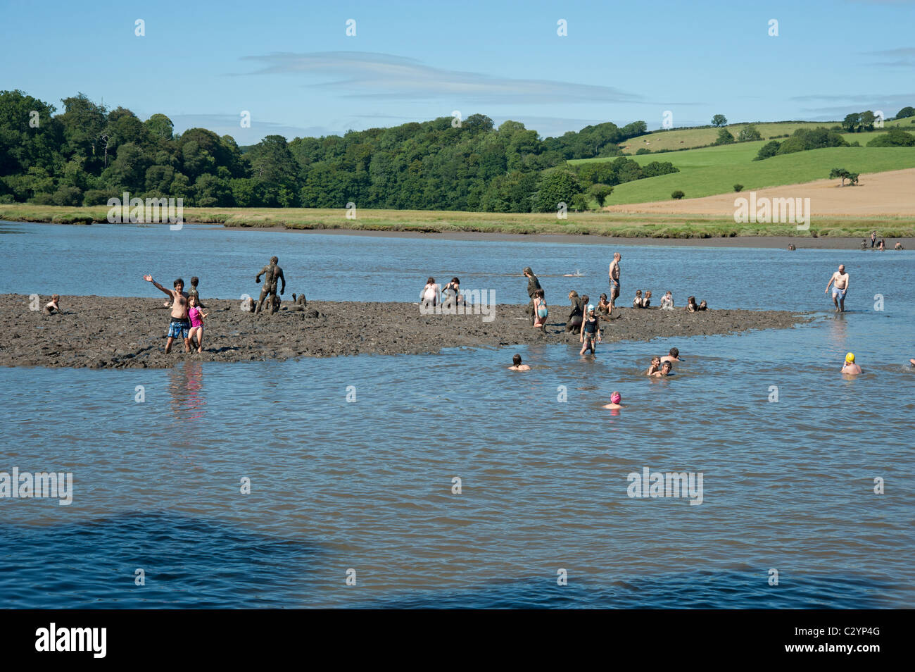 Swimming in mud hi-res stock photography and images - Alamy