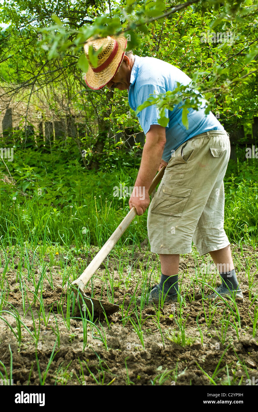 Old man digging ground hi-res stock photography and images - Alamy