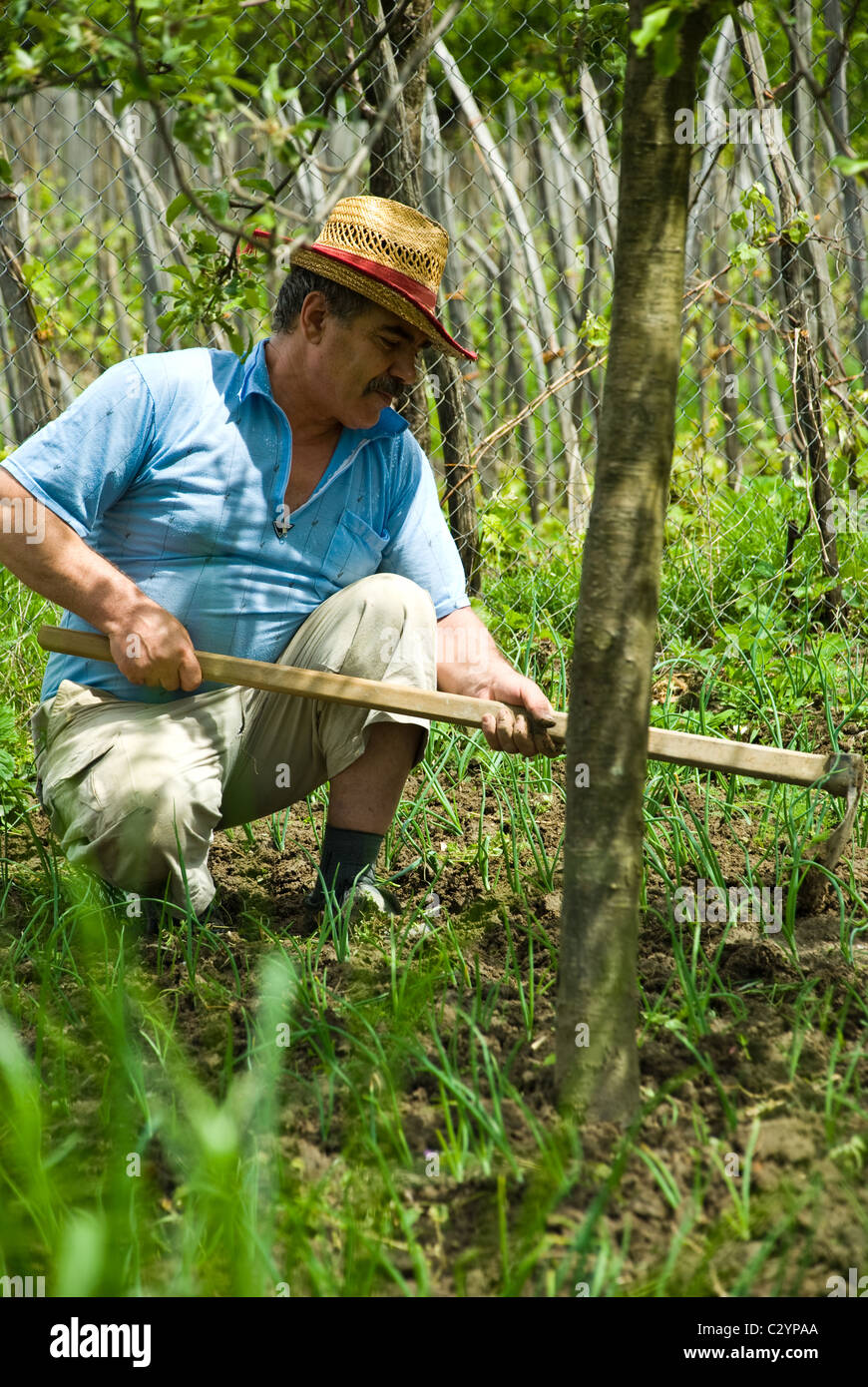 Peasant farmer digging hi-res stock photography and images - Alamy