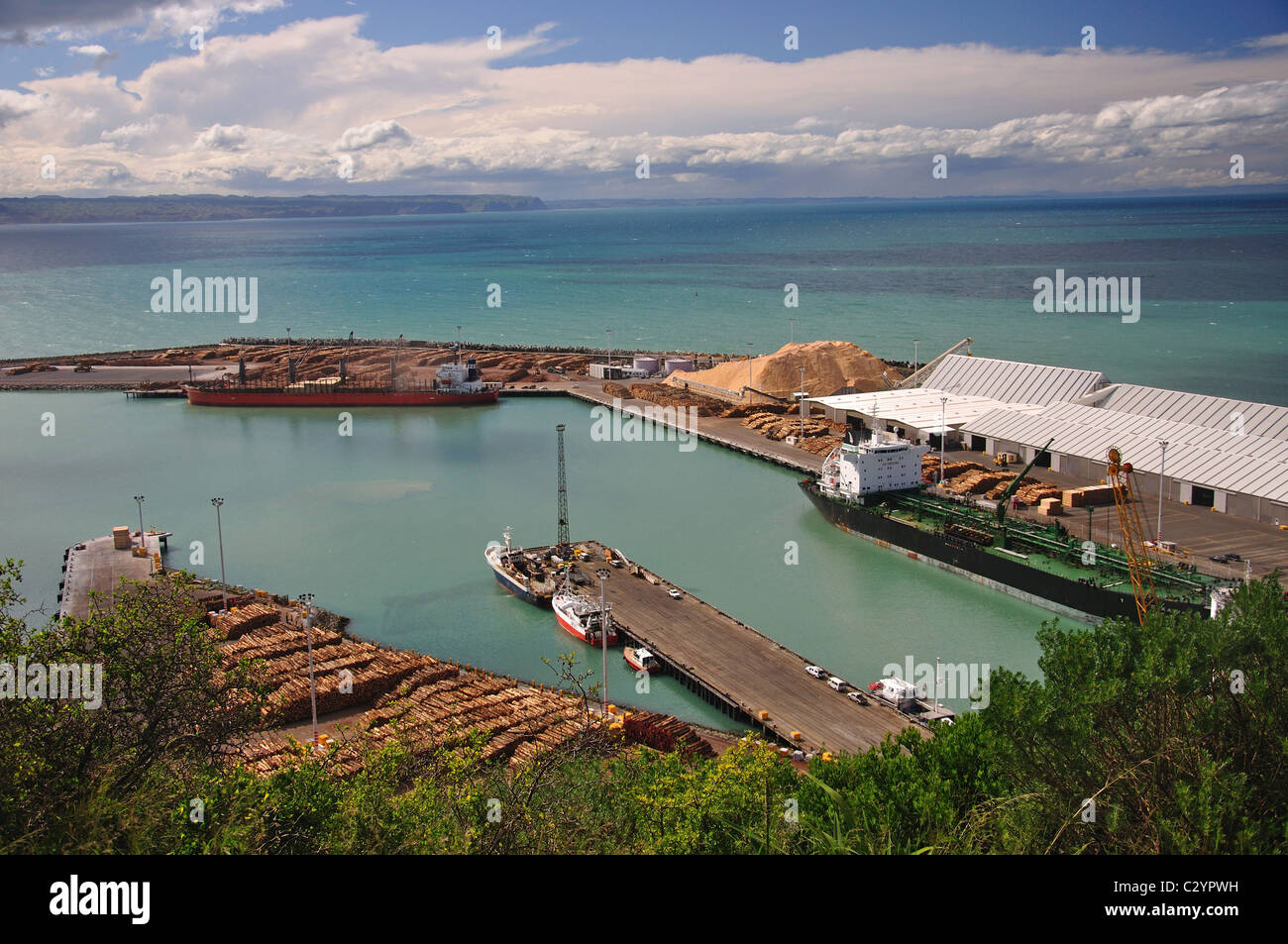 Logging ship in Napier Harbour, Napier, Hawke's Bay, North Island, New ...