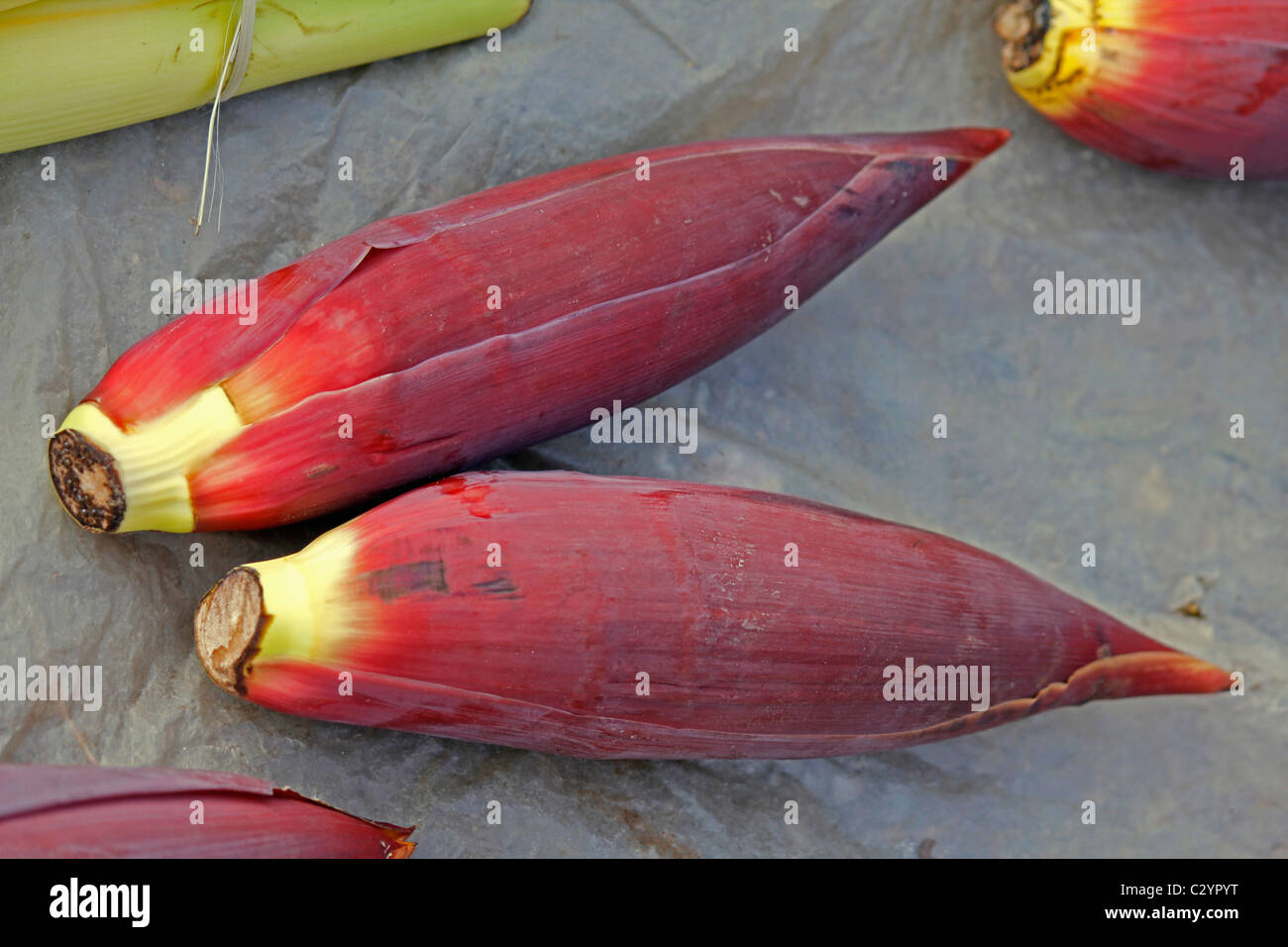 Banana flowers, Musa x paradisiaca at market, Miao, Arunachal Pradesh ...