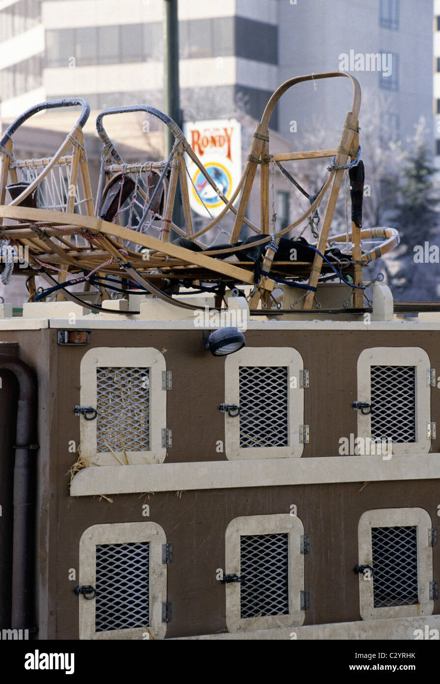 Dog Musher, Fur Rendezvous, Fur Rondy, Rondy, Anchorage, Sled Dogs, Dog ...