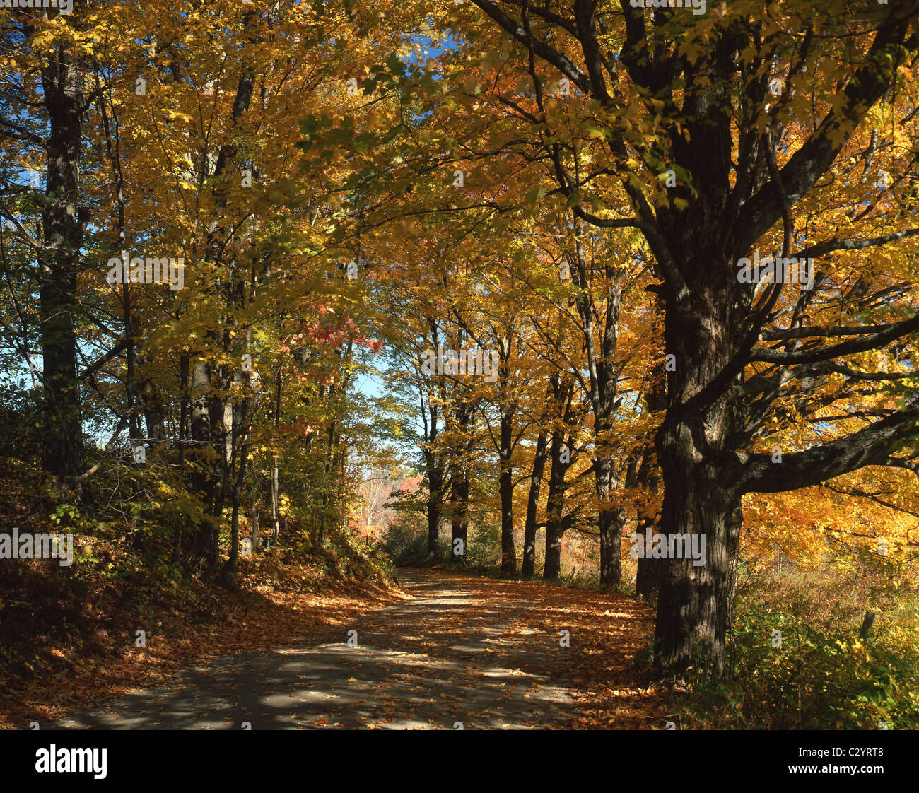 Road in rural england hi-res stock photography and images - Alamy