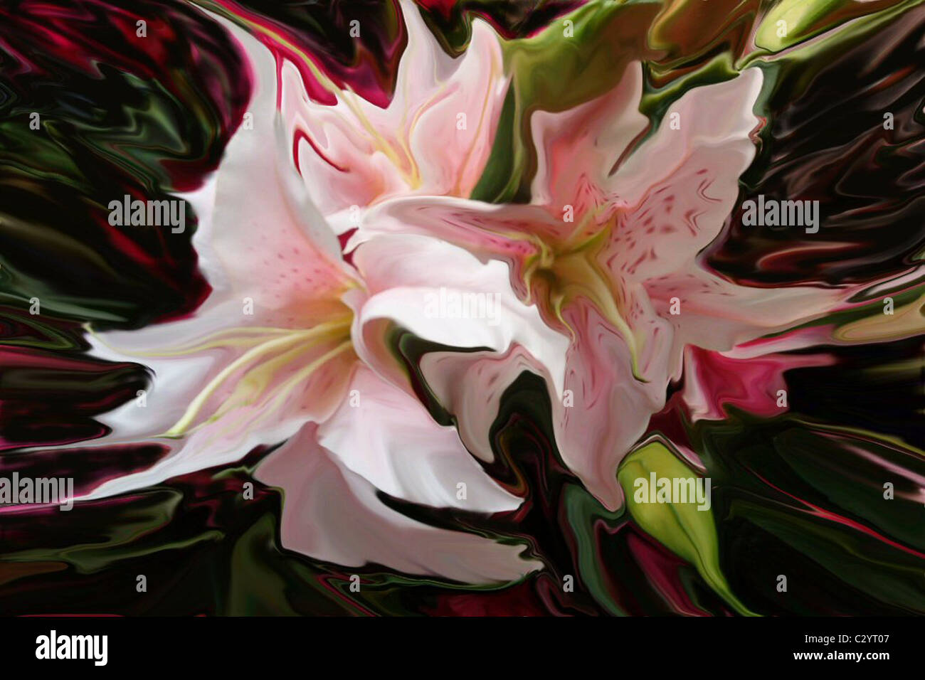 Abstract bouquet of lilly flowers Stock Photo - Alamy