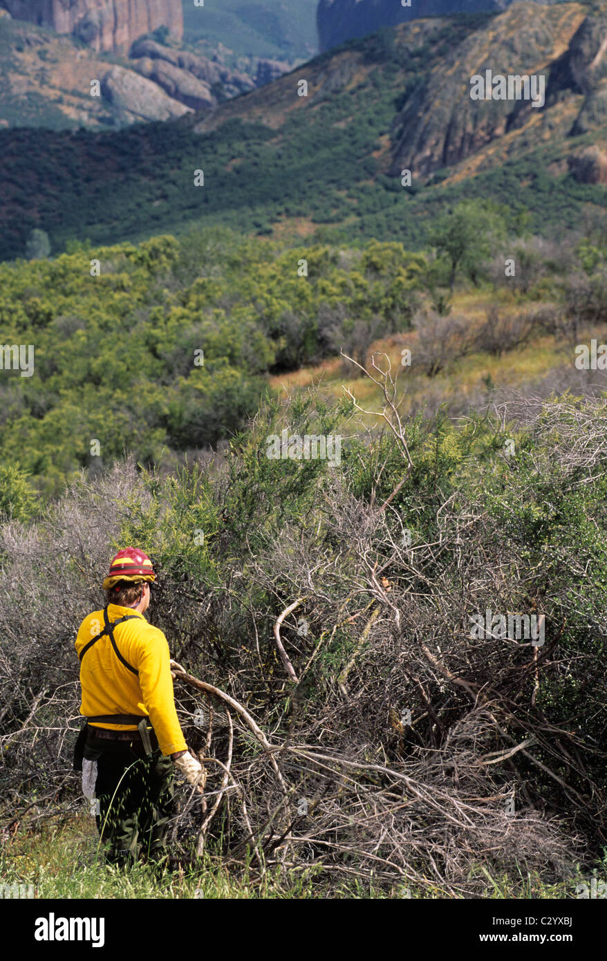 Firefighters Preparing for a Prescribed Fire, Pinnacles National Park ...