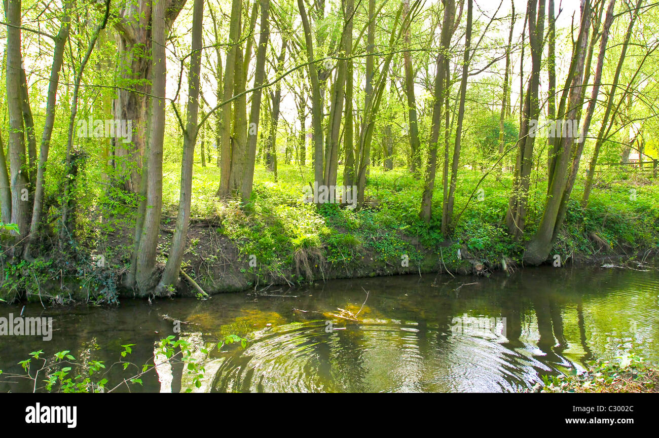 Riverside side hi-res stock photography and images - Alamy