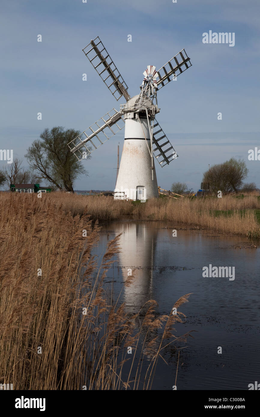 Thurne Windmill, Broadland, Norfolk Stock Photo - Alamy