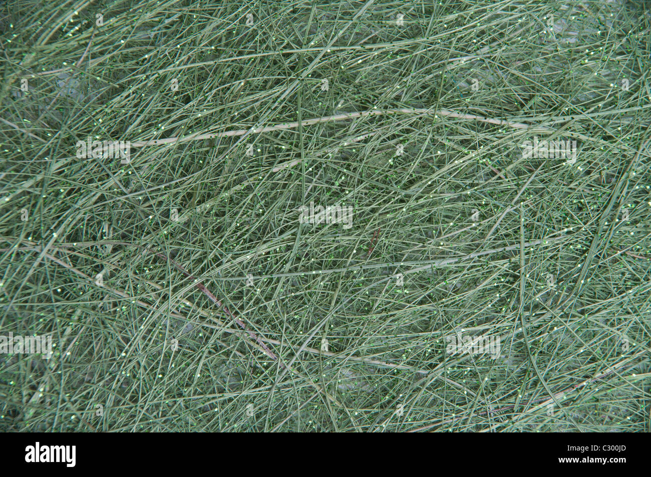 Texture grey canvas from the long fibres Stock Photo - Alamy