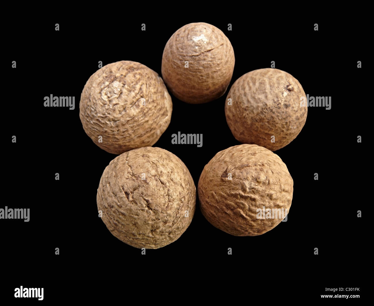 Areca catechu, Betel nuts, India Stock Photo - Alamy