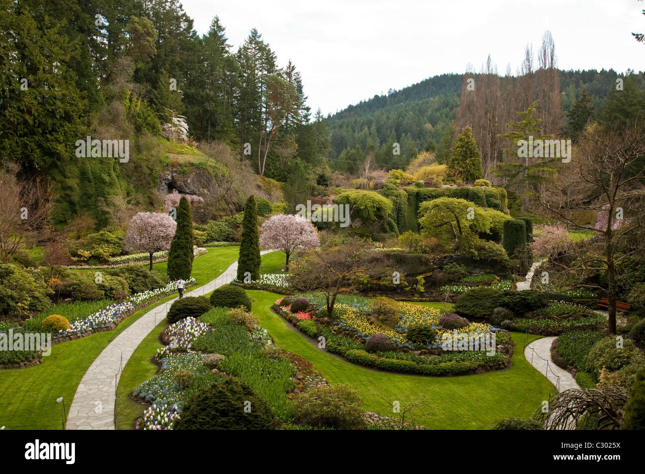 Spring at Butchart Gardens. Victoria, BC, Canada Stock Photo - Alamy