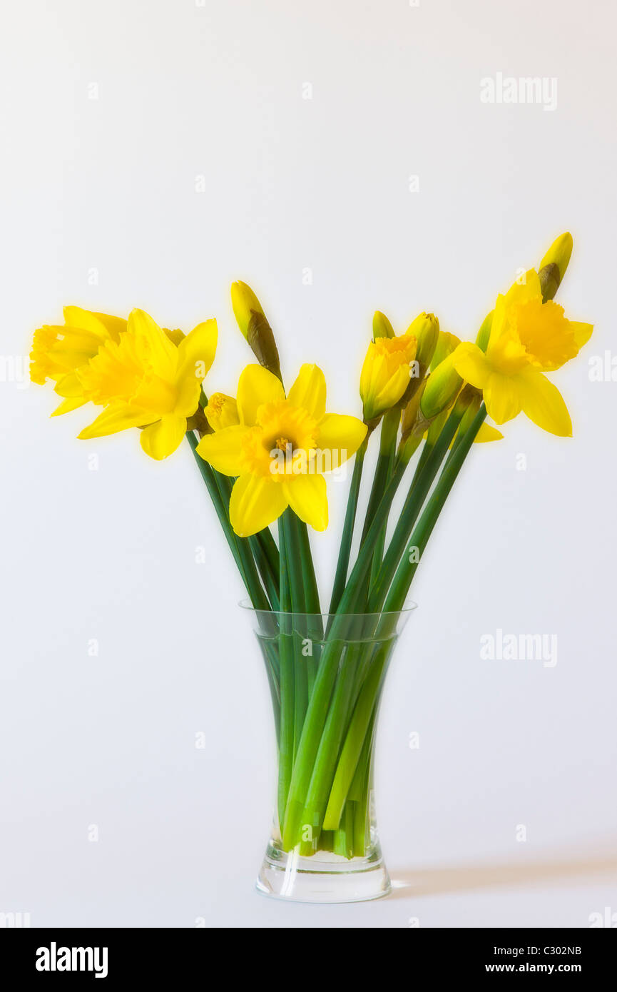 Mothering sunday and flowers hi-res stock photography and images - Alamy