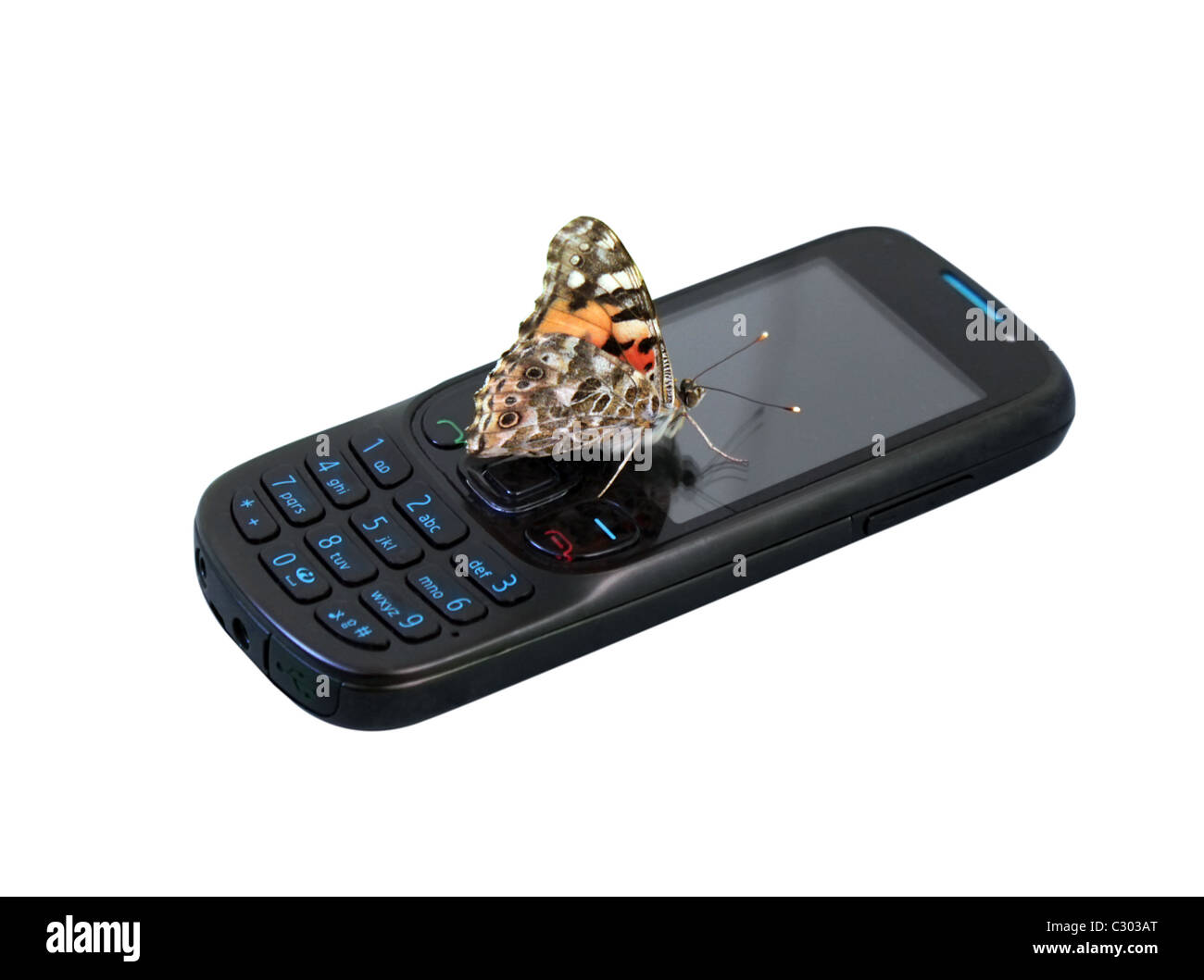 butterfly (Painted Lady) on mobile phone isolated on white Stock Photo ...