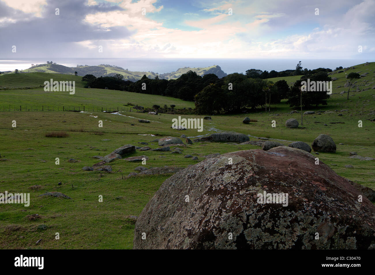 Site of ANZAC World War II defence base, Waiheke island New Zealand ...