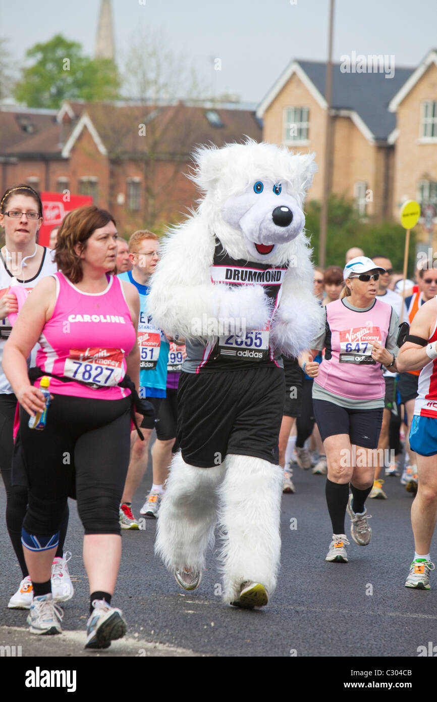 Marathon dog hi-res stock photography and images - Alamy