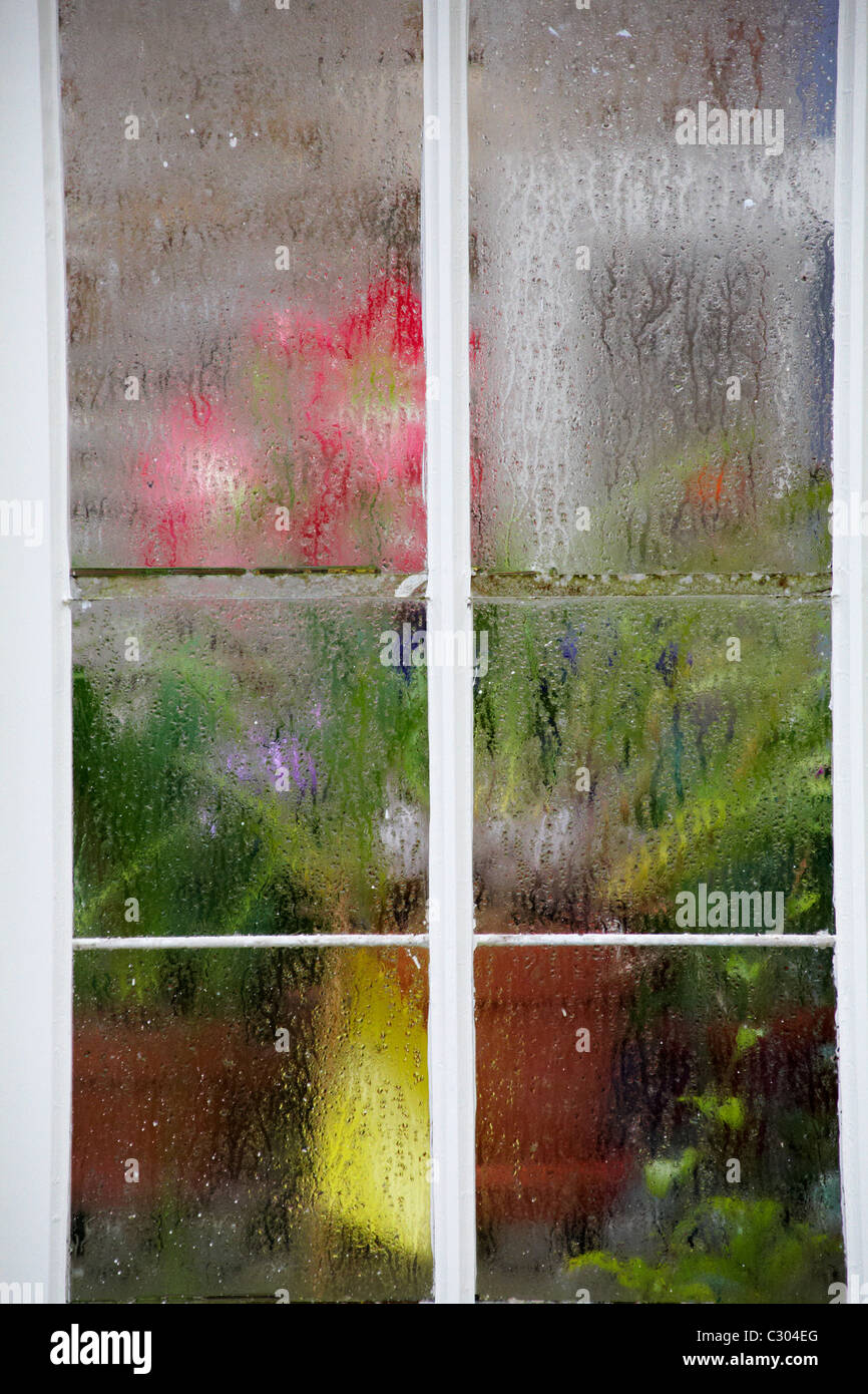 Abstract image of plants inside greenhouse conservatory with ...