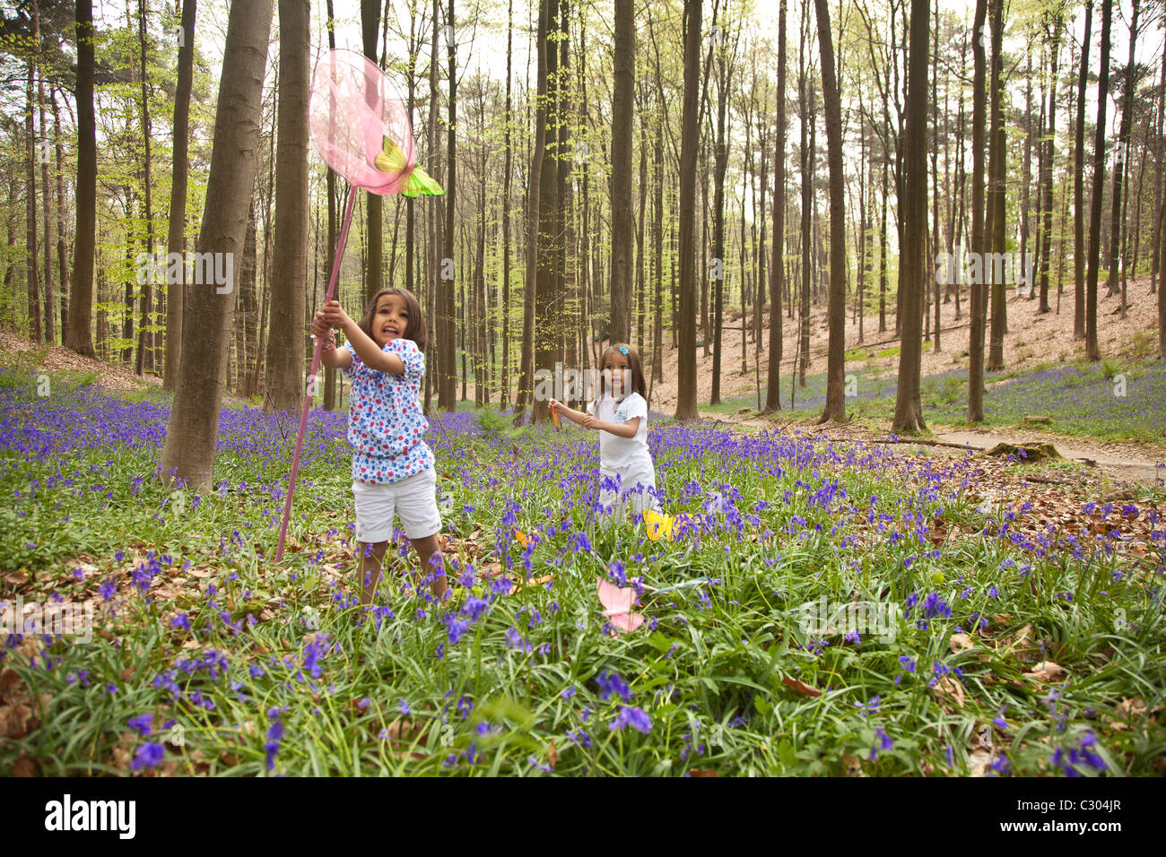 little girls catching butterflies in the woods Stock Photo - Alamy