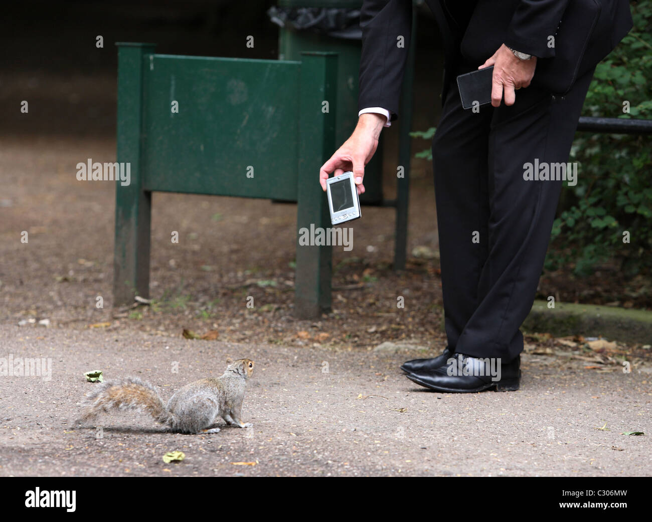 Squirrel bin hi-res stock photography and images - Alamy