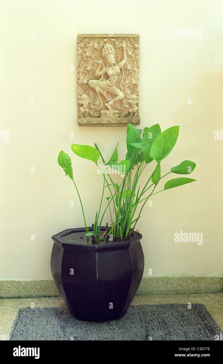 Asian resort interior in Phuket, Thailand Stock Photo - Alamy