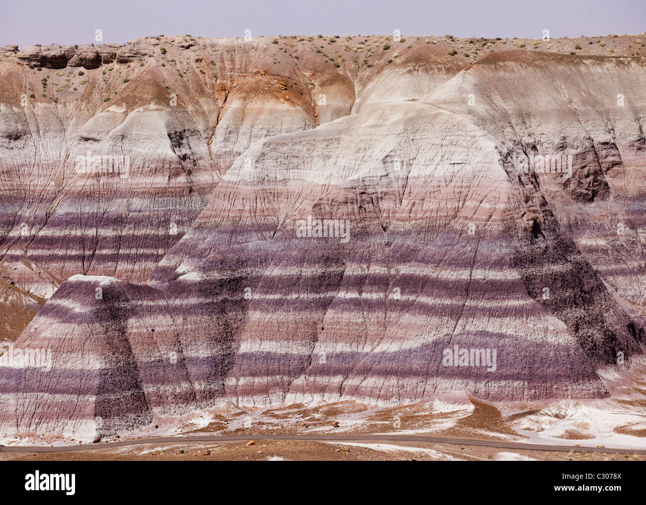 Sandstone siltstone painted desert hi-res stock photography and images ...