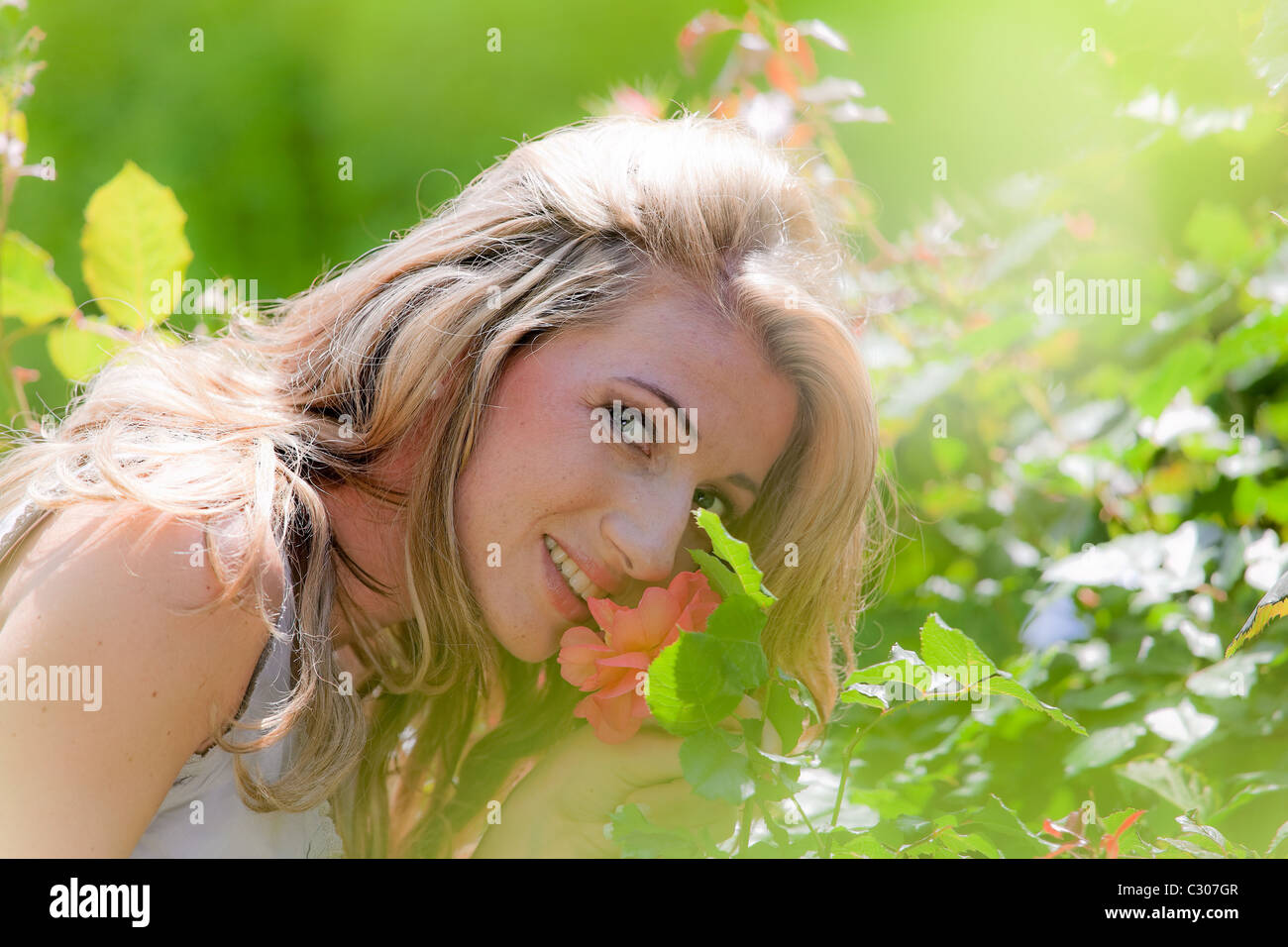 Woman smelling a rose in the garden Stock Photo - Alamy